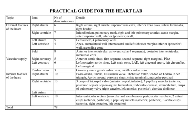 Heart Lab Practical Guide: Features & Anatomy | PDF | Heart Valve ...