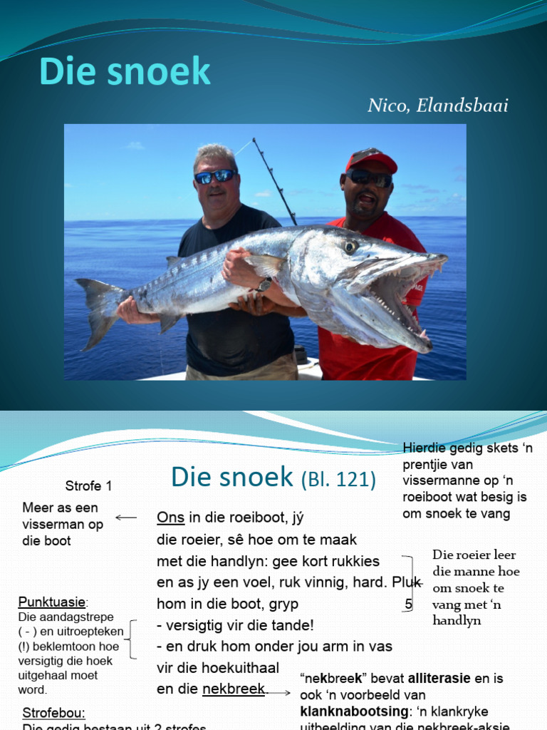 Die Snoek - Powerpoint | PDF