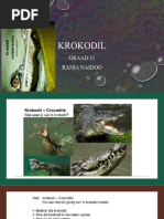 2019 Gedig 1 Saalhulp | PDF