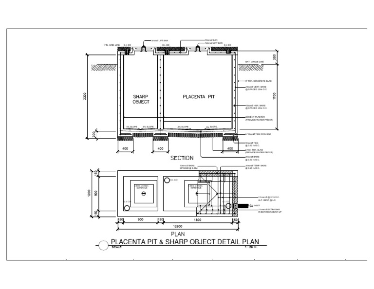 PLACENTA PIT | PDF | Building Materials | Building Engineering