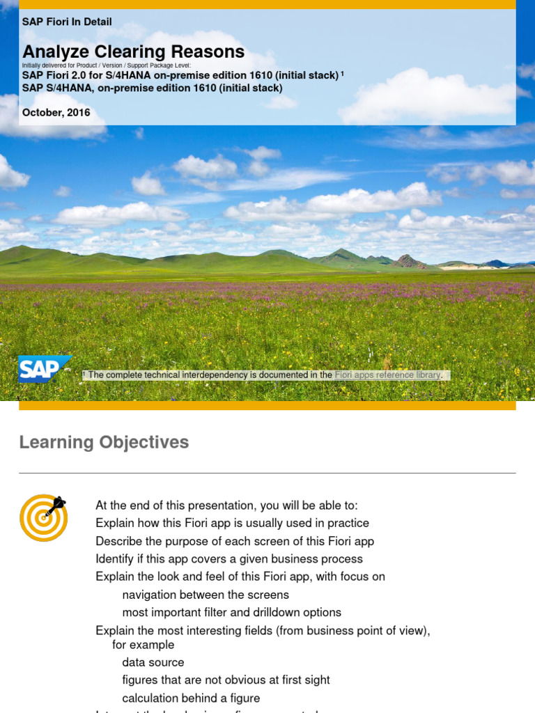 AnalyzeClearingReasons_S4OP | PDF | Computing | Business