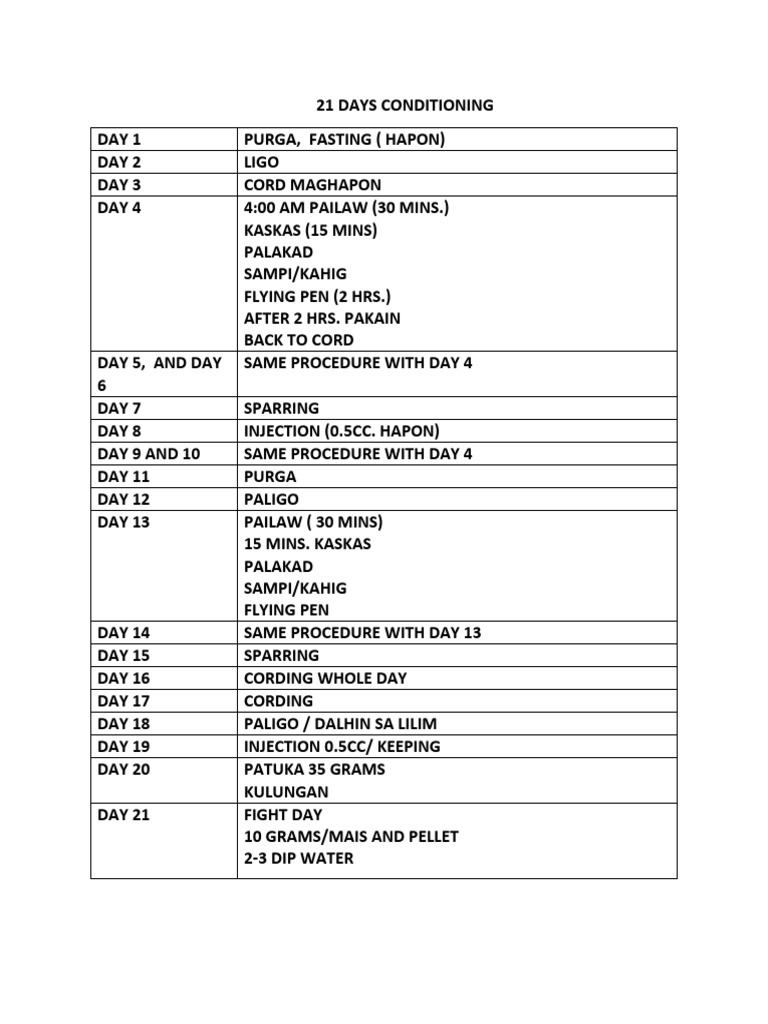 21 DAYS CONDITIONING | PDF