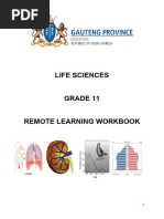 Gaseous Exchange Grade 11 | PDF | Breathing | Lung