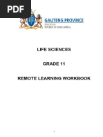 Life Science Grade 11 Term 3 Notes | PDF | Kidney | Urine