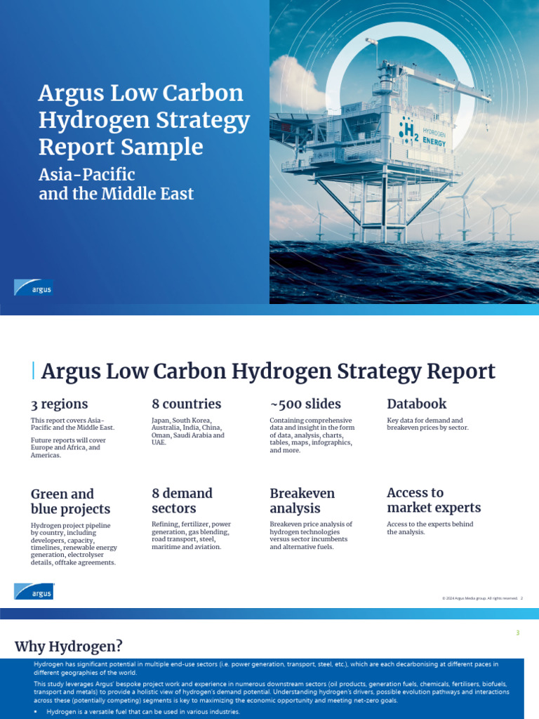 Argus Low Carbon Hydrogen Strategy Report | PDF | Climate Change ...