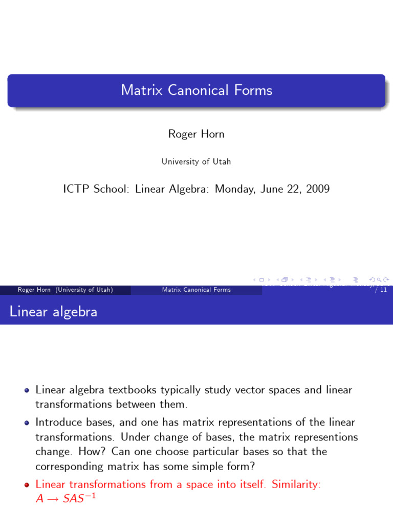 Horn Lecture 1 | PDF | Matrix (Mathematics) | Linear Map