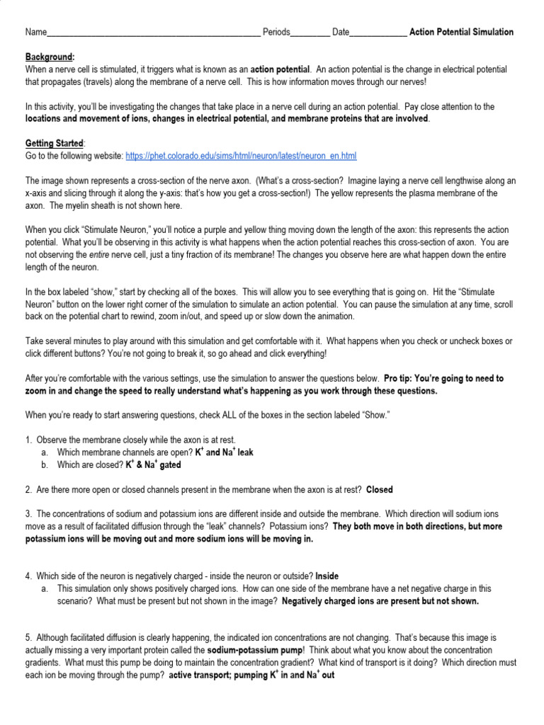 Action Potential Simulation Lab Guide | PDF | Membrane Potential ...