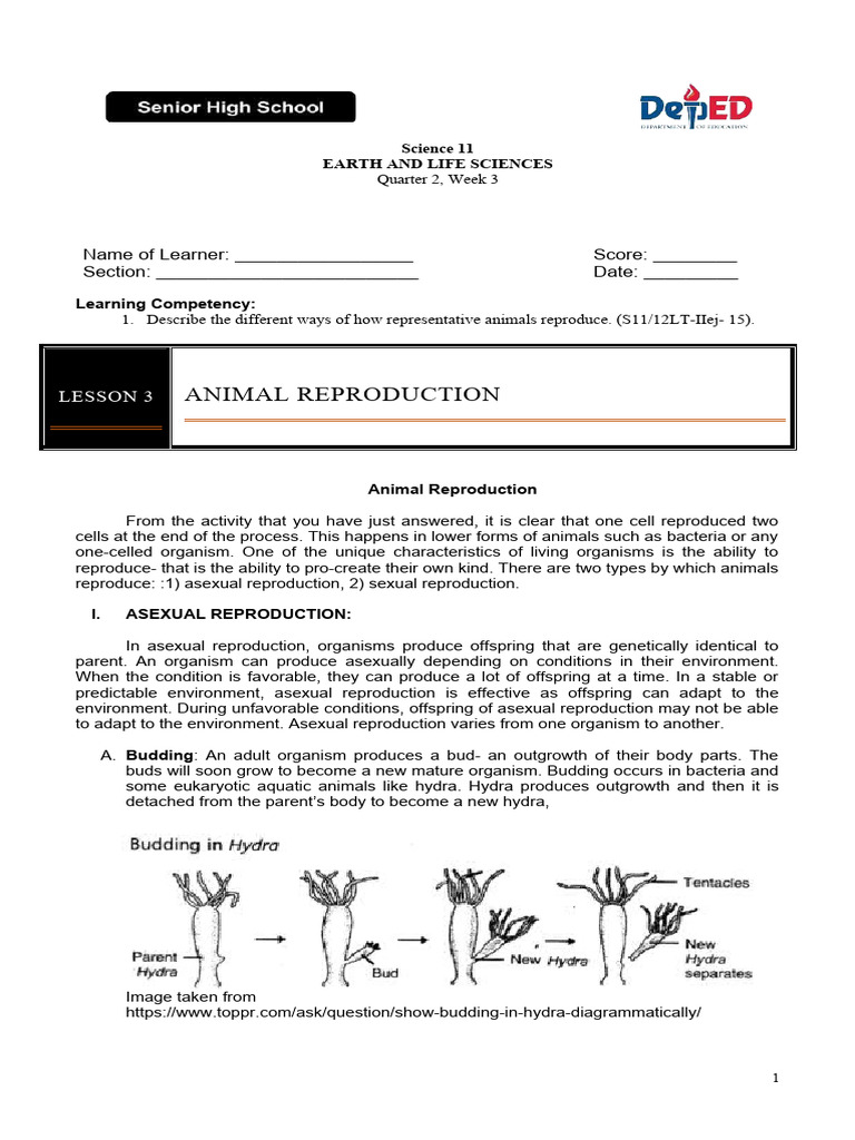 Lesson-3-ANIMAL-REPRODUCTION-students-notes | PDF | Reproduction ...