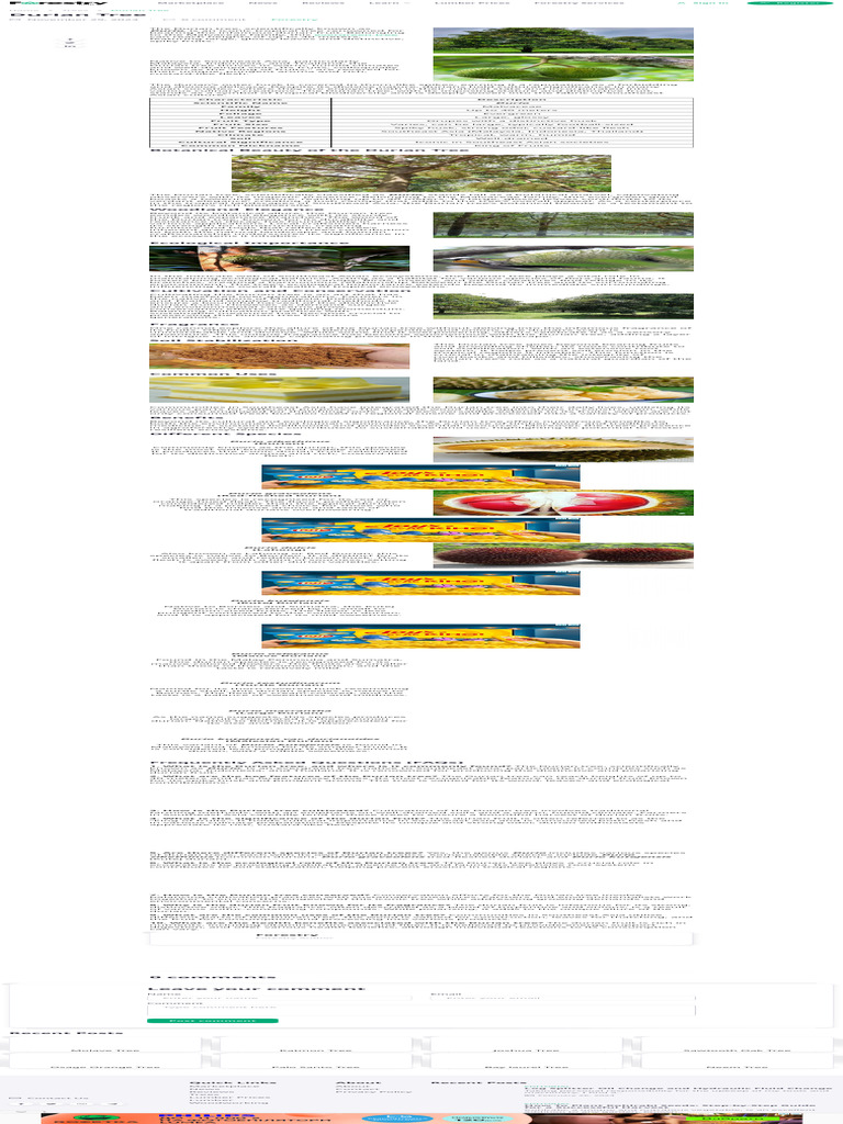 Durian Tree | Download Free PDF | Trees