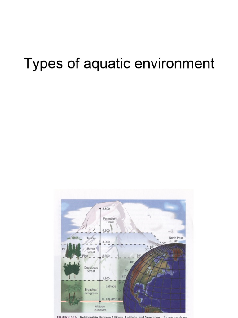 Types of Aquatic Environments in Malaysia | PDF