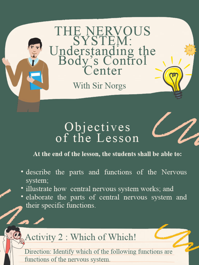 The Central Nervous System | PDF | Nervous System | Central Nervous System