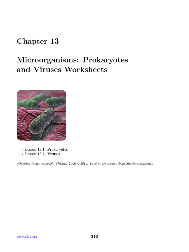 CK-12 Biology Chapter 13 Worksheets | PDF | Virus | Bacteria