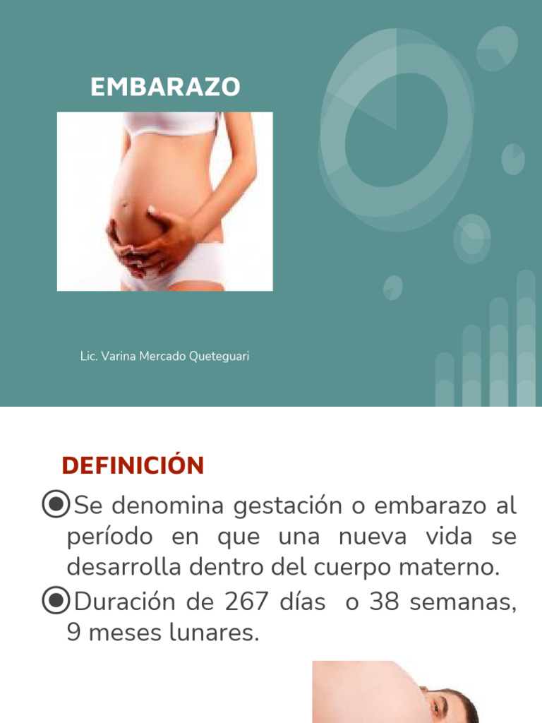 El Embarazo | Descargar gratis PDF | El embarazo | Maternidad