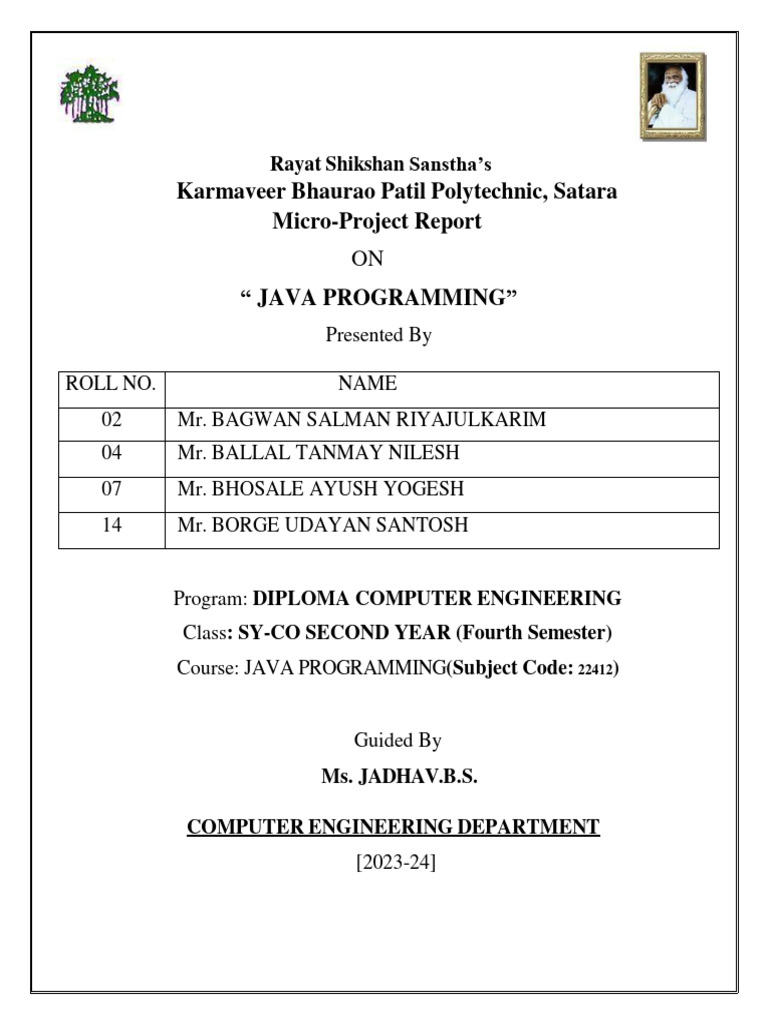 Java Project Reports | PDF | Simulation | Graphics