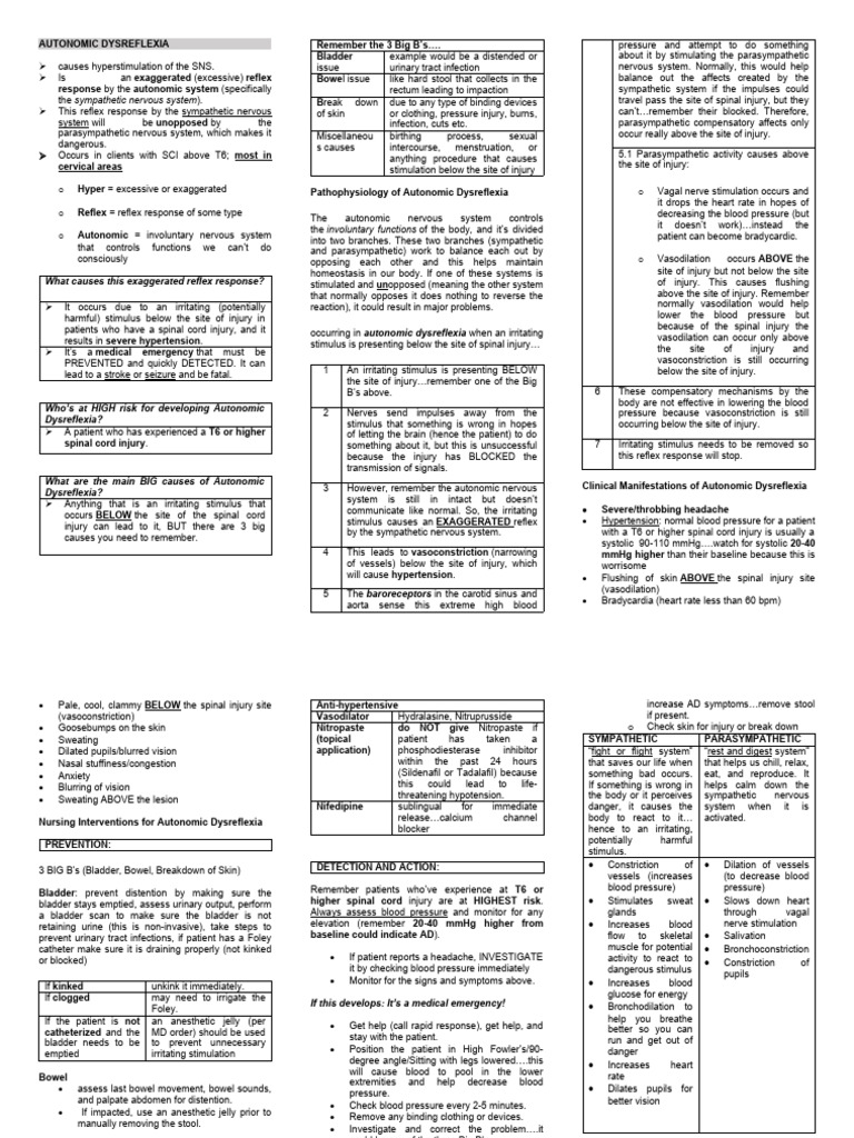 What Causes This Exaggerated Reflex Response? | PDF | Neuromuscular ...