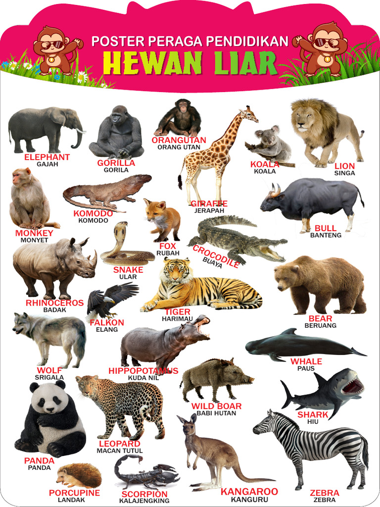 Poster Peraga Pendidikan Hewan Liar | PDF