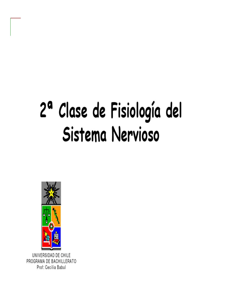 Clase 2 Sistema Nervioso | Descargar gratis PDF | Sinapsis | Neurona