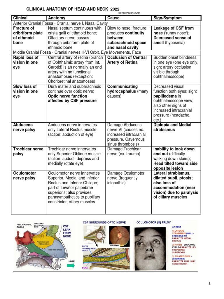 Clinicalf Anatomy and Embryology All Head and Neck Charts 2022 ...