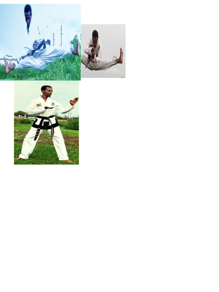 tkd | PDF