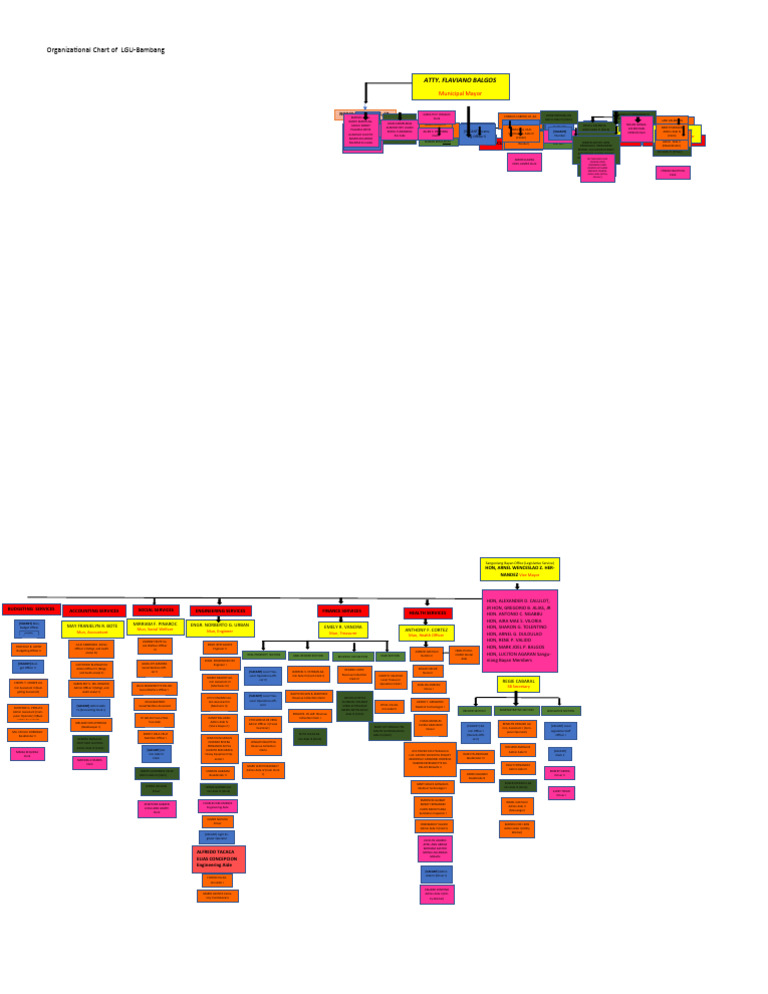 Organizational Chart of LGU Final to Print | PDF
