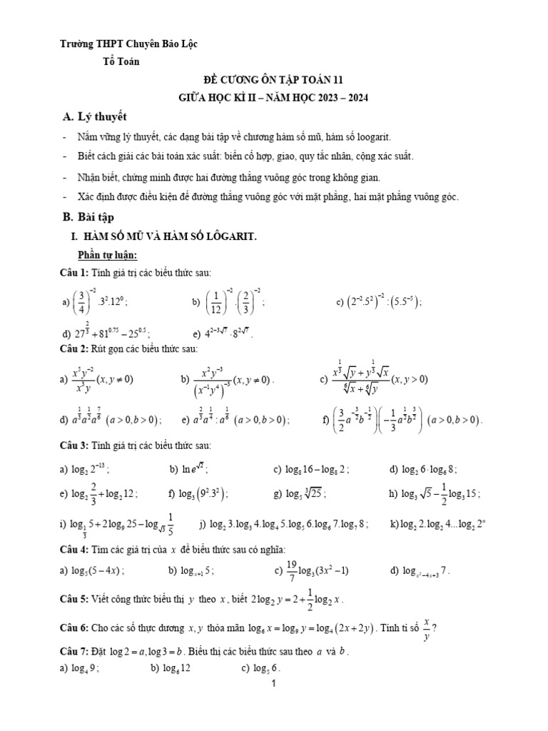 De Cuong Giua hkII Lop 11 | PDF