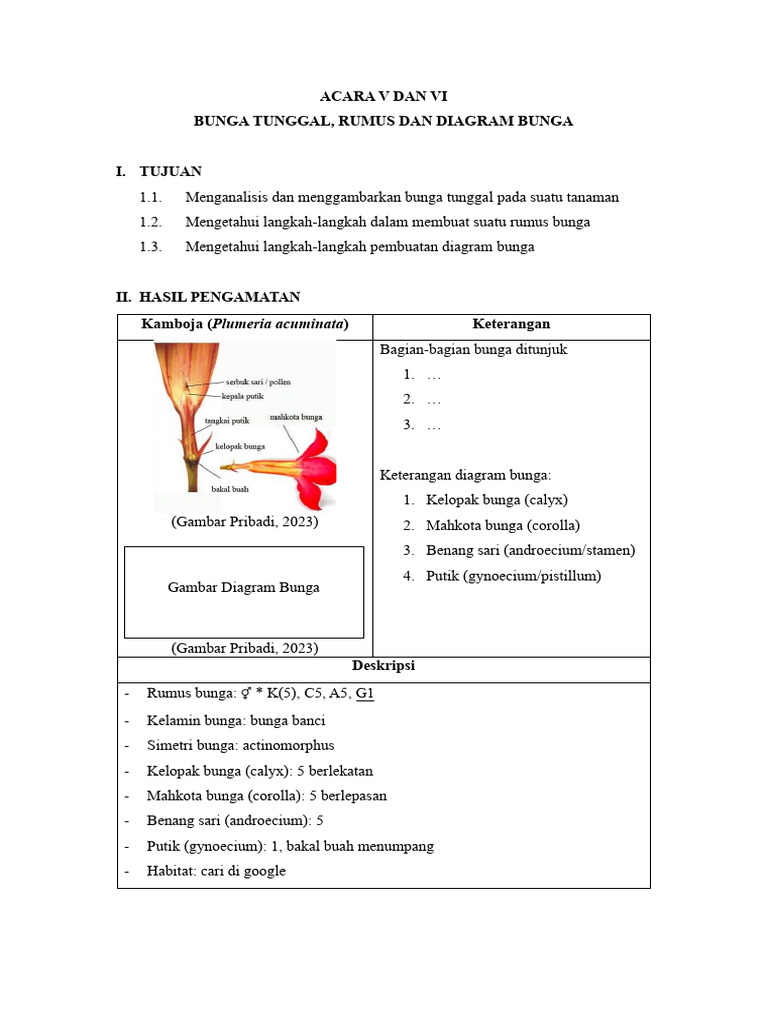 Format Laporan Acara 5 Dan 6 | PDF