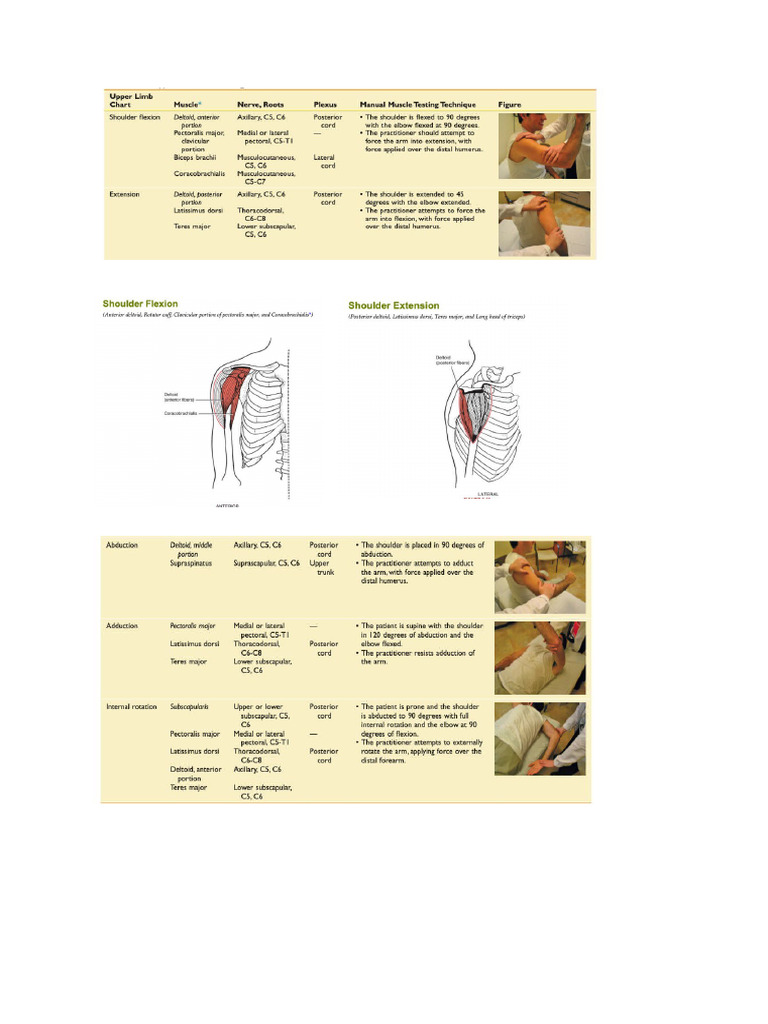 MMT image Upper | PDF