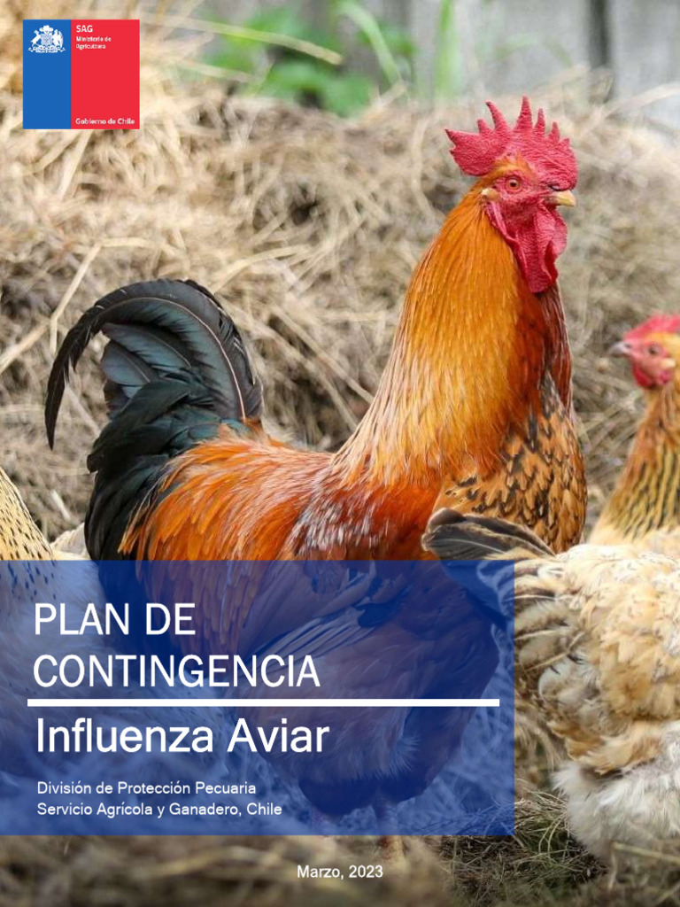 Plan de Contingencia 5.0. gripe aviar.Marzo 2023 | PDF | Influenza aviar | Influenza