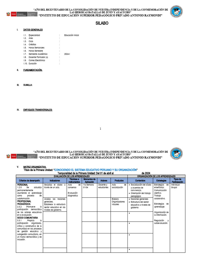 Silabo Modelo DCBN - 2010-2024-I Iesppar | PDF | Evaluación | Aprendizaje