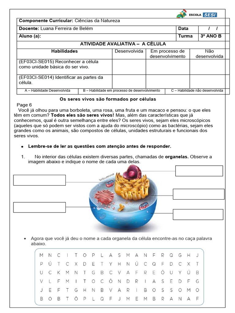 Atividade - A Célula | PDF | Célula (Biologia) | Organismos