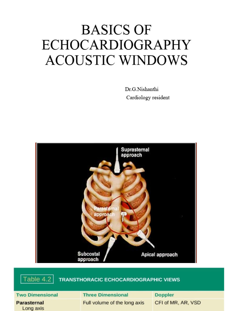 Acoustic Windows | PDF | Heart Valve | Ventricle (Heart)