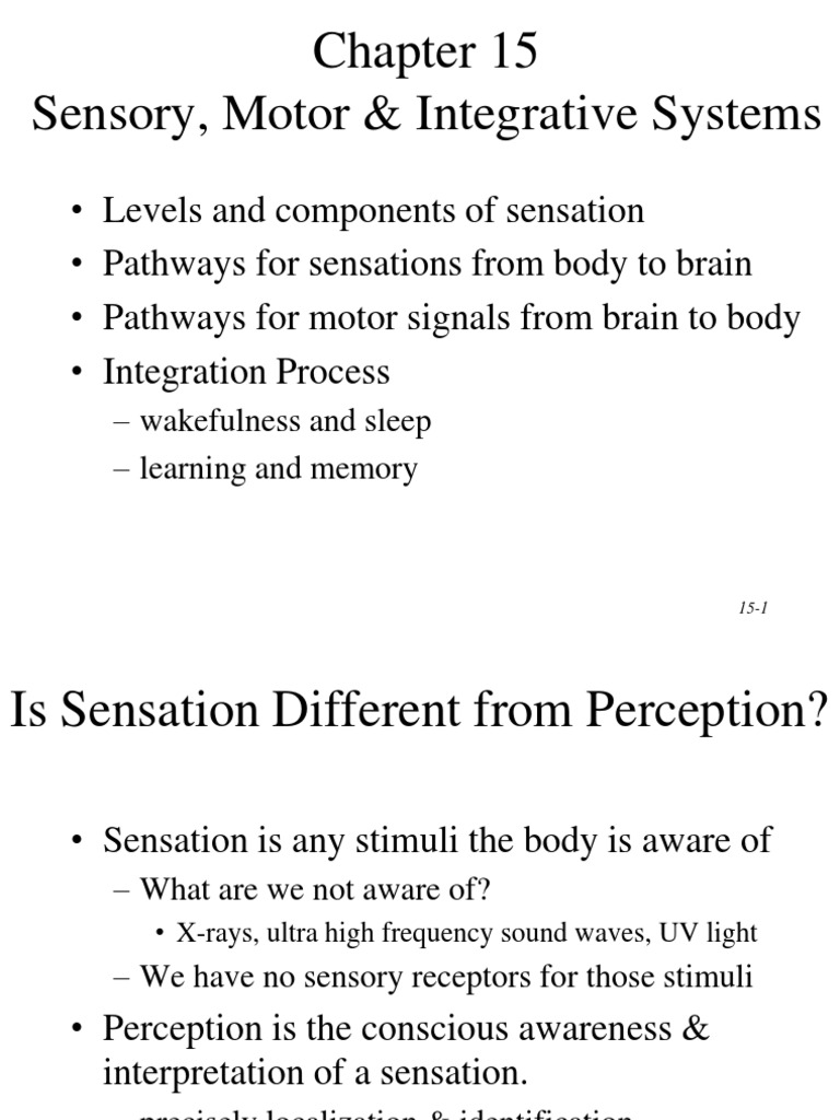 Sensory Motor Integration | PDF | Stimulus (Physiology) | Somatosensory ...