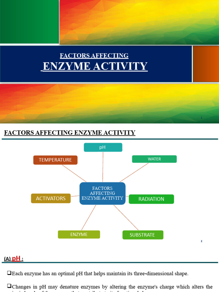 Effects of enzyme activity | PDF | Enzyme | Enzyme Assay