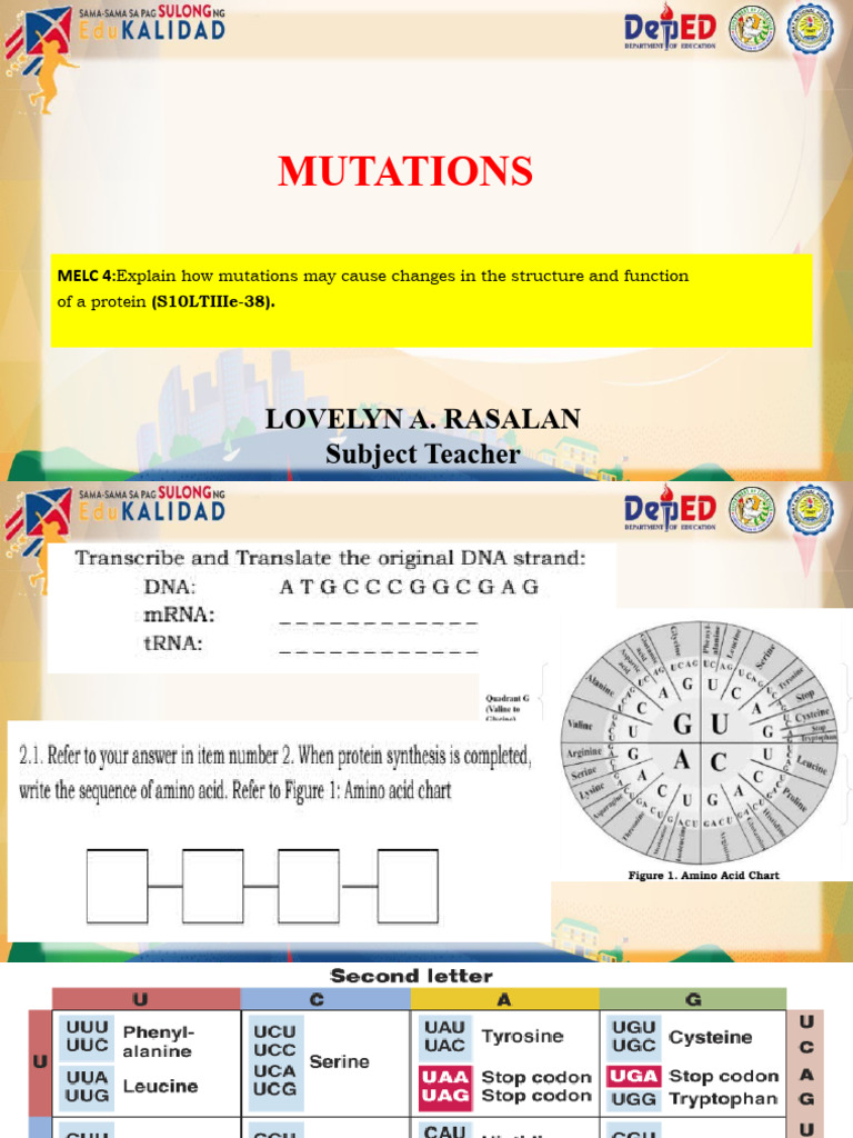 mutation | PDF | Point Mutation | Chromosome