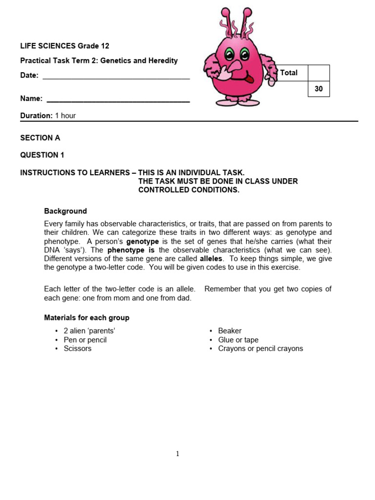 Grade 12 Genetics Practical Task | PDF | Genotype | Phenotypic Trait