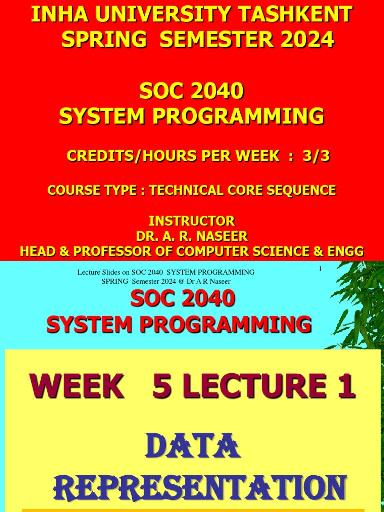 Soc2040 SP Week 5 Lecture1 Slides On Data Representation Part4 Spring 2024 | PDF | Computer ...
