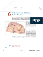 The Skeletal System Answer Key | PDF