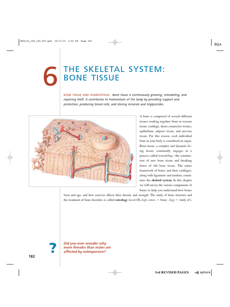 Buka Folder Ilovepdf_split-range | PDF | Bone | Osteoblast