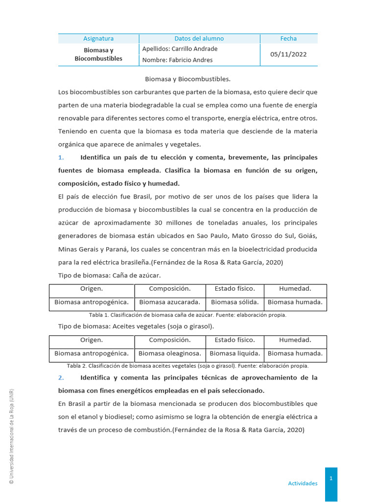 DEBER Biomasa y Biocombustibles | PDF | Biocombustible | Biomasa