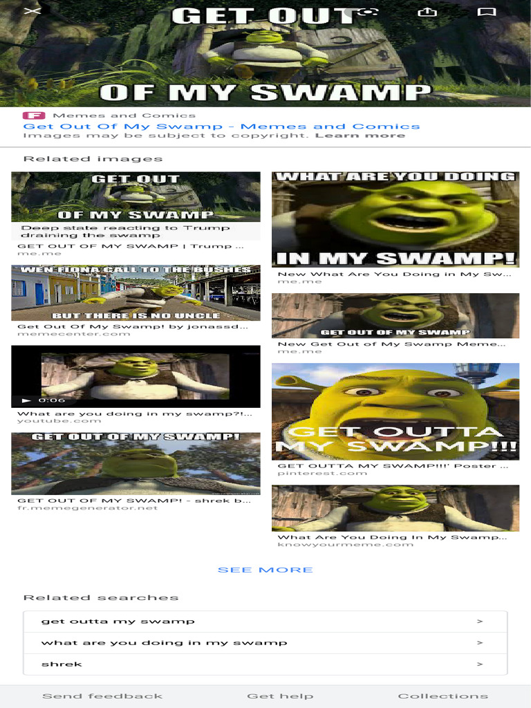Get Out My Swamp Meme - Google Search | PDF | Art | Young Adult