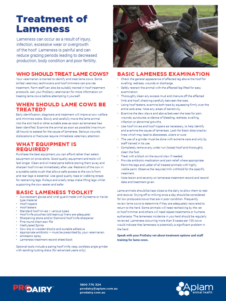 Treatment of Lameness 64 Web | PDF | Clinical Medicine | Diseases And Disorders