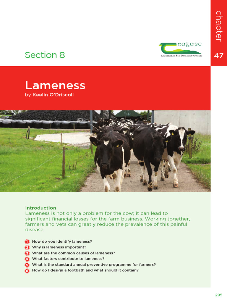 Managing Lameness in Cattle | PDF | Cattle