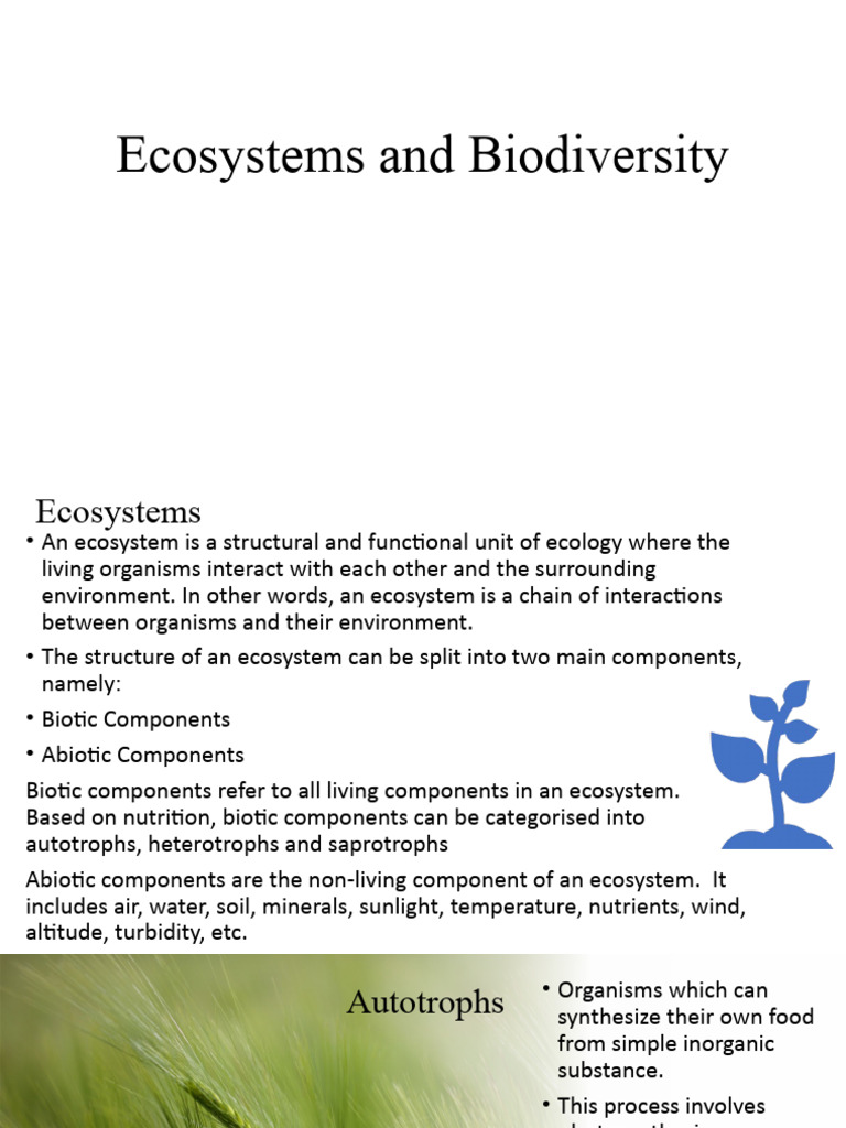 ecology_ | PDF | Ecosystem | Food Web