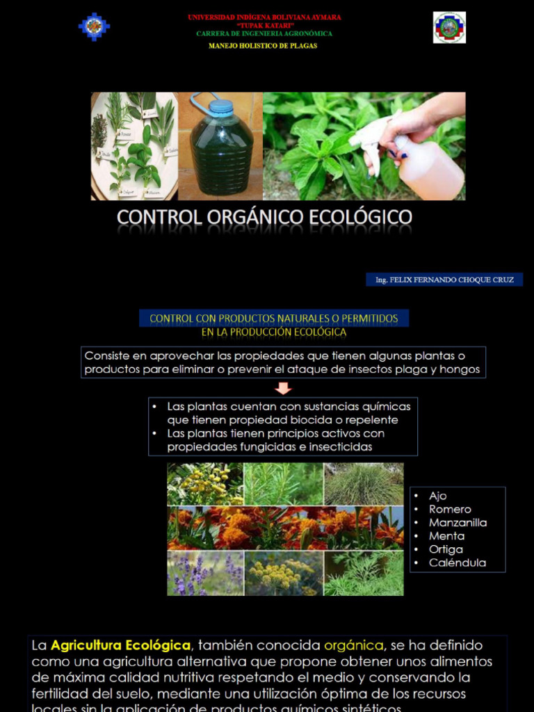 Control Organico - Ecologico | PDF
