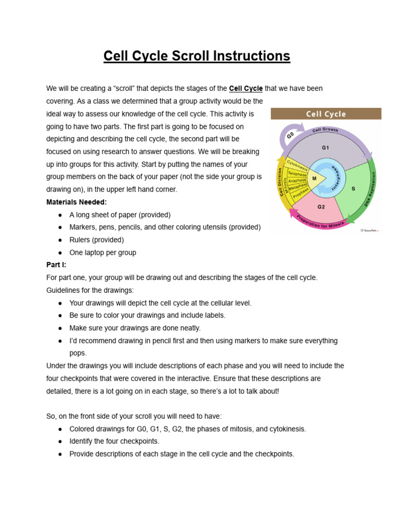 cell cycle scroll instructions | PDF | Cell Cycle | Cancer