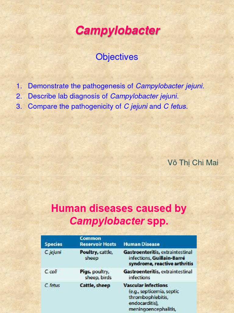 Campylo - 2020 Nov - P | PDF | Medical Specialties | Diseases And Disorders