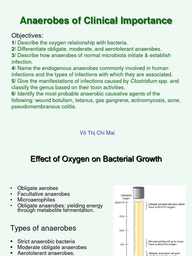 Anaerobes - 2020 Nov - P | PDF | Clinical Medicine | Diseases And Disorders