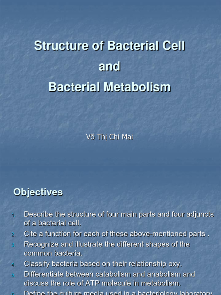 Bacterial Structure Metabolism P Pdf Bacteria Cell Biology