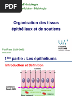 Jonctions Cellulaires et Fonctions | PDF | Membrane cellulaire | Biochimie