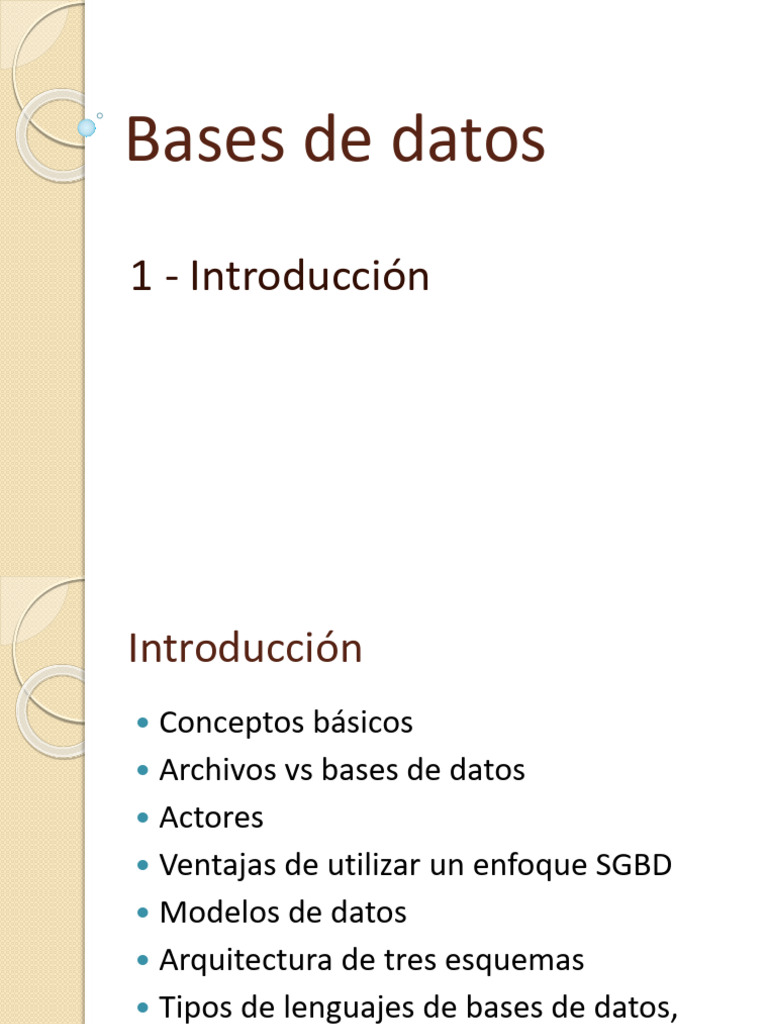 Intro | PDF | Bases de datos | Lenguaje de programación
